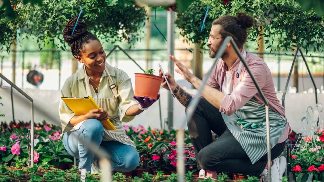 The Story of the Eco Explorer #YouTube #trending #viral #exlore #health 