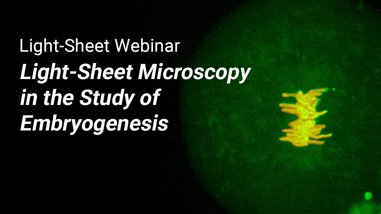Light-Sheet Microscopy in the Study of Embryogenesis | Bruker Webinar