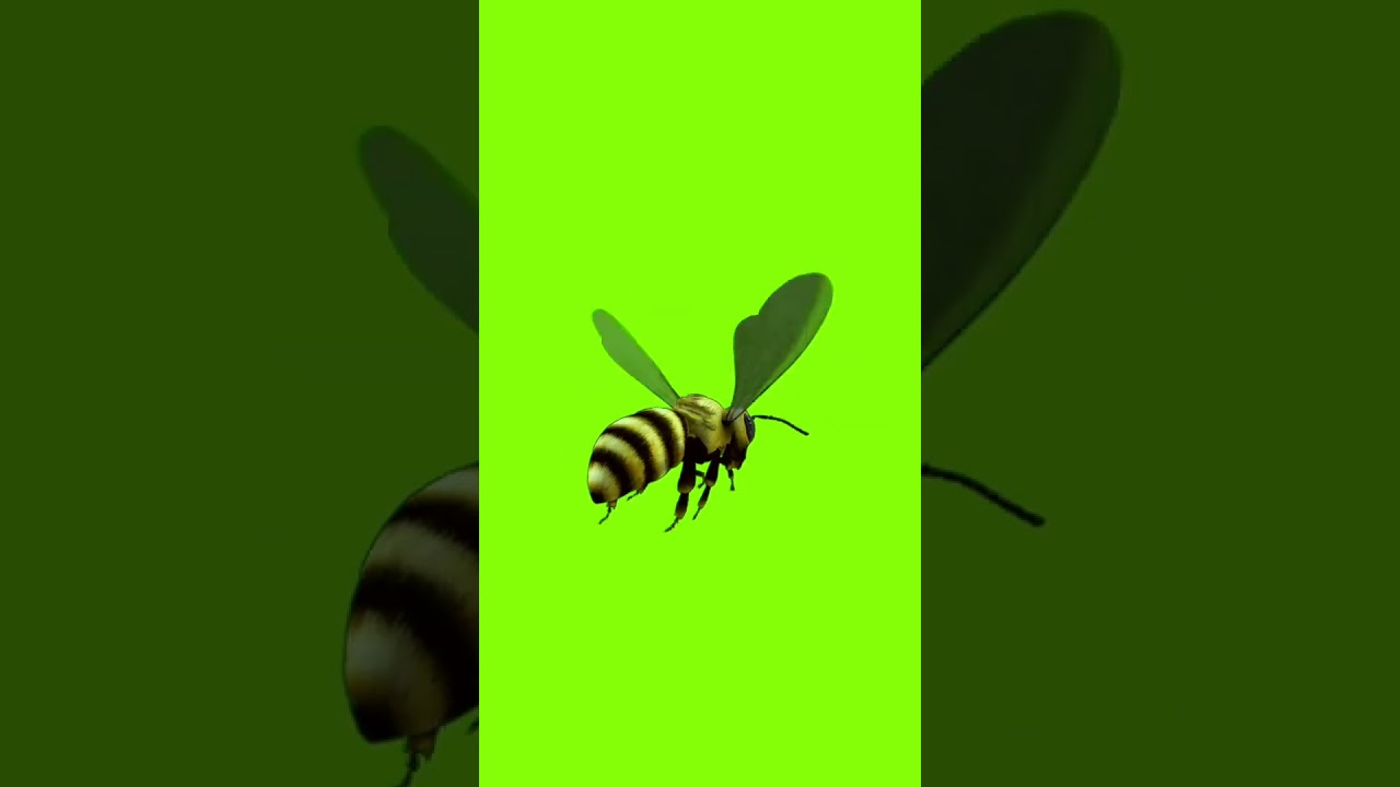 Bee Green Screen 2 #shorts