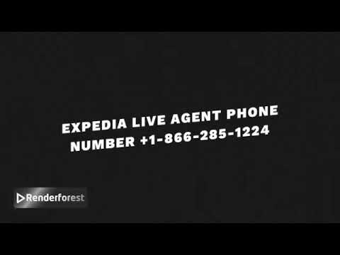 21 Ways to Get Help from Expedia Customer Service via Phone, Email, and Chat: Step-by-Step