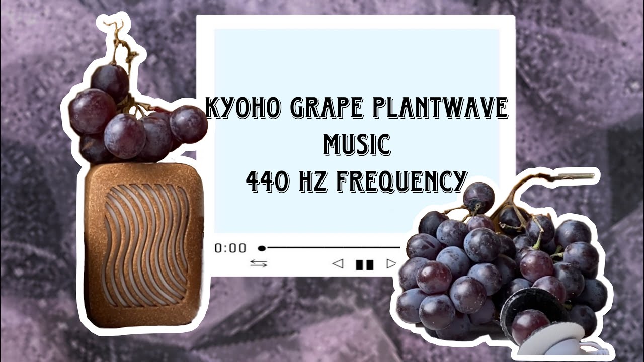 PlantWave Kyoho grapes music 440 hz frequency meditation relaxation
