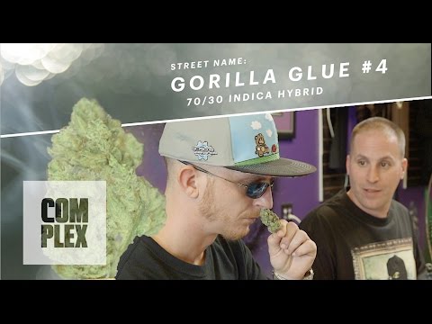 Motor City High: "Gorilla Glue #4" Marijuana Strain | Ep. 5 On Complex