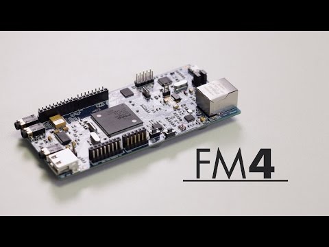 Introduction to the FM4 family