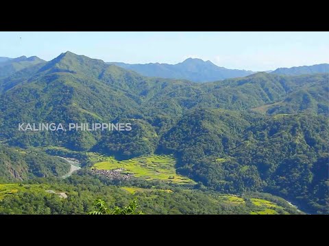 2025 Kalinga congressman, governor, vice governor, board members ...