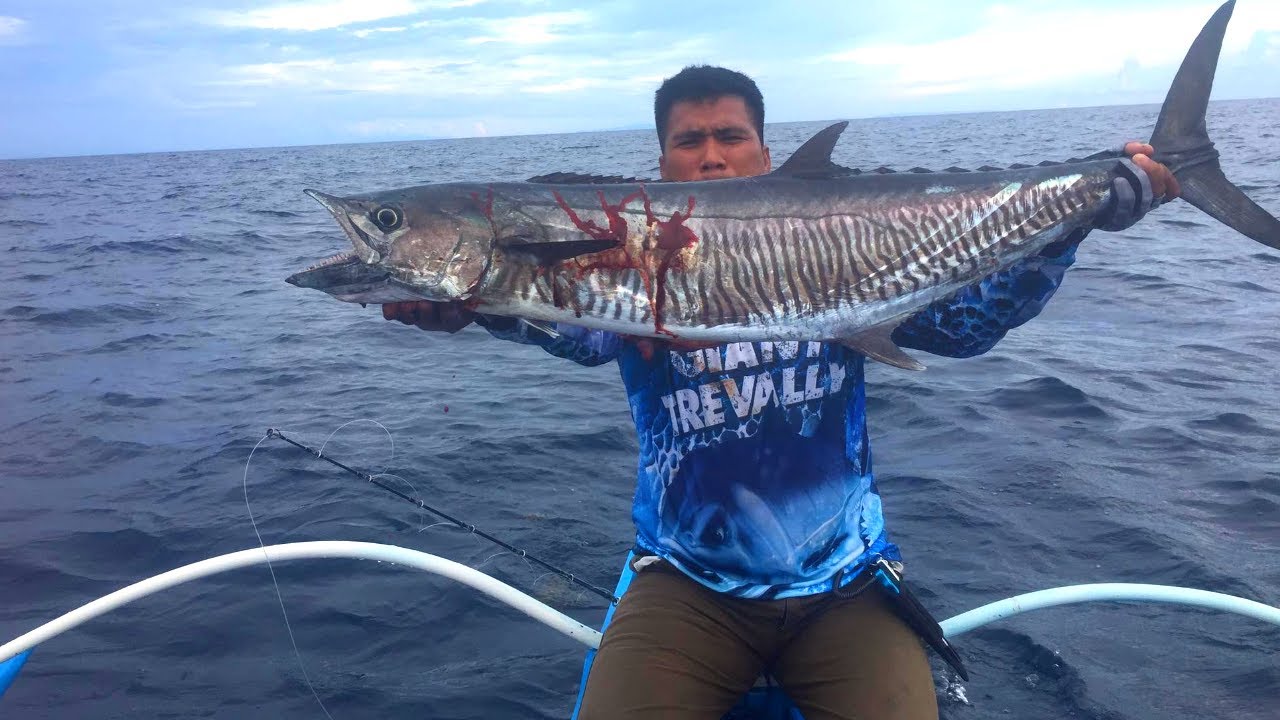 King Mackerel On Vertical Jigging
