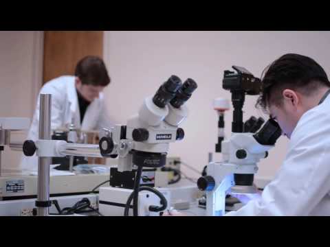 Marktech DesignTest YouTube 1080p