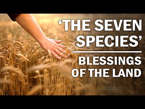 'The Seven Species': Blessings of the Land
