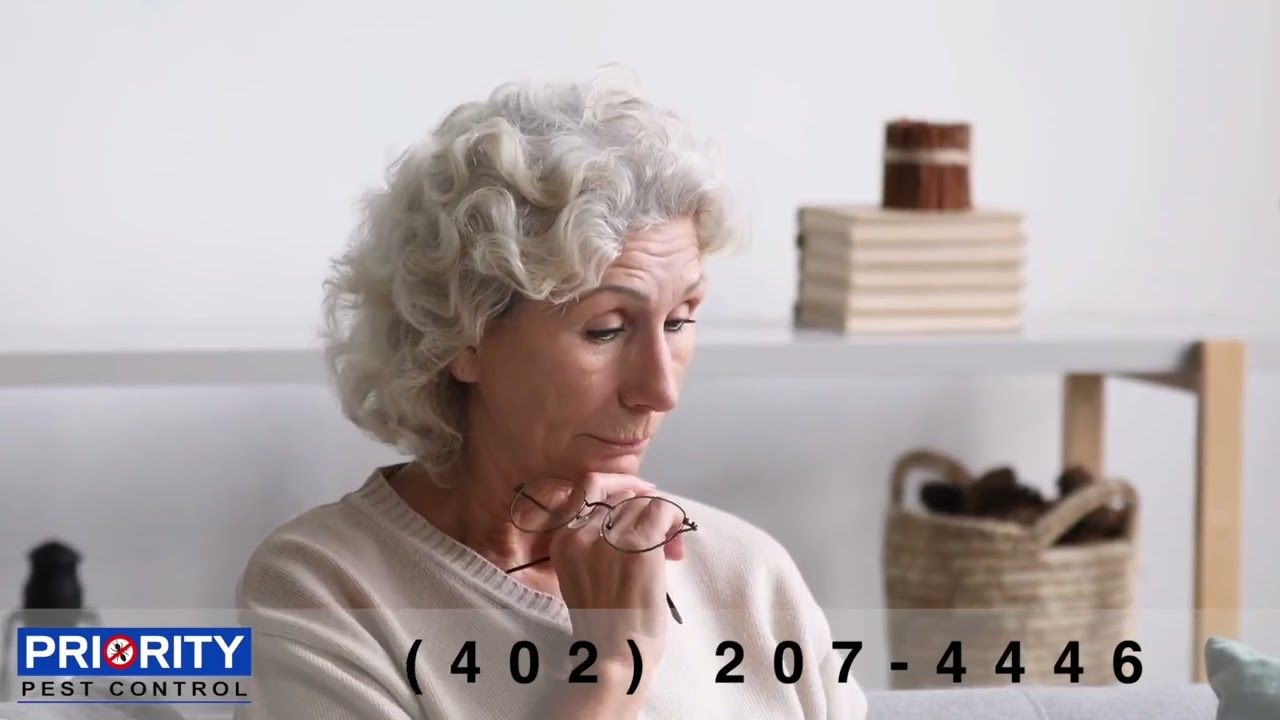 Priority Termite & Pest Control Inc (Video Ad 2023)