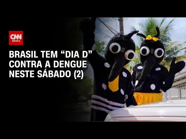 Brasil tem Dia D contra a dengue neste sábado (2): entenda ação que une ...
