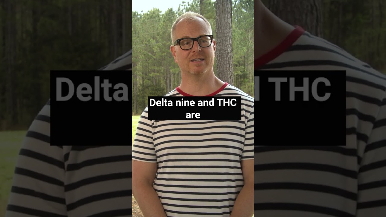 What is Delta 9, and is it dangerous?  #addiction #rehab #recovery #sobriety #druguse