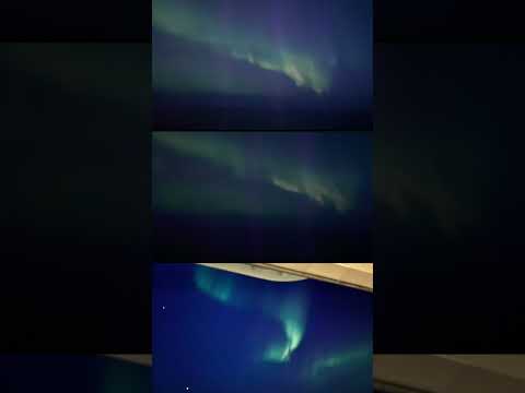 Northern Lights in August 2024 on Iceland and Greenland Cruise Jewel of the Seas.