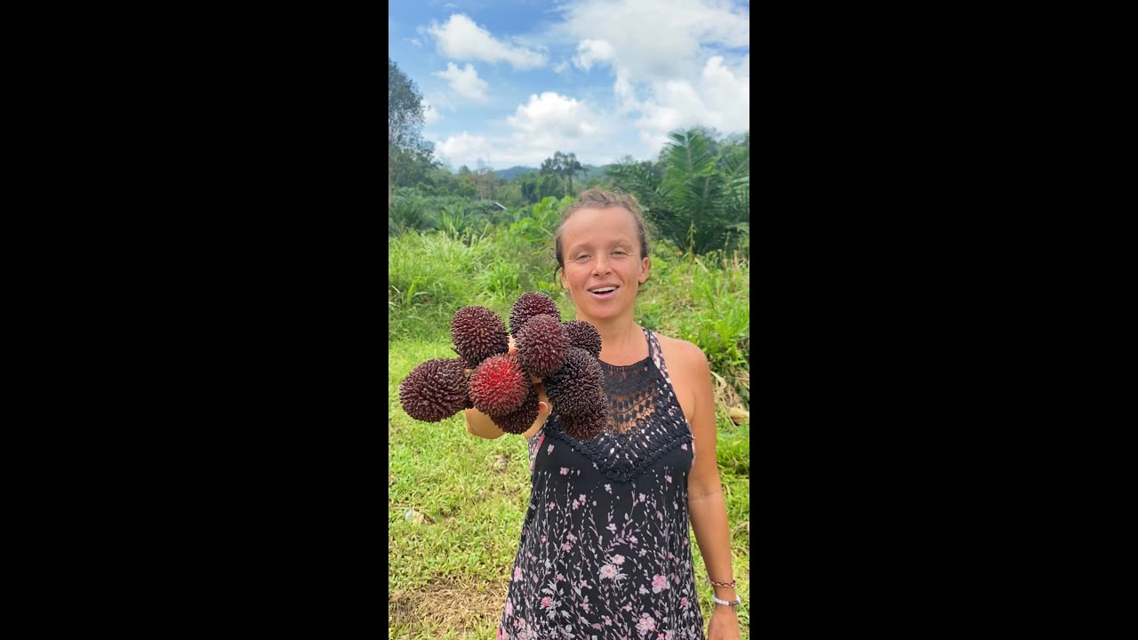 This is not rambutan! Do you know what it is?
