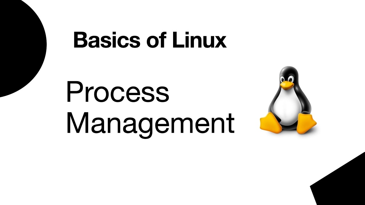Linux Process Management Explained | ps, top, htop, jobs, kill & Background Processes