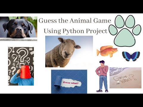 Python Project Making a guess the animal game.