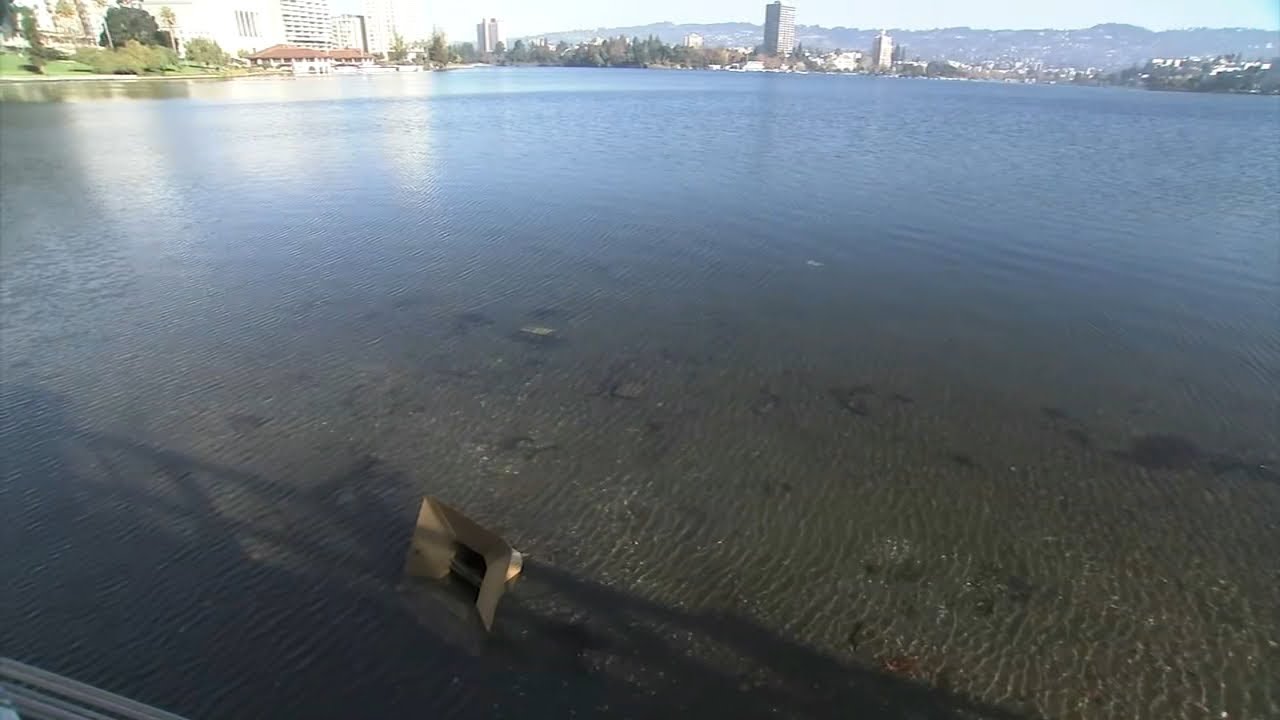 The Shomer: The Sophisticated 23-Year Plot To Ignite a Global Campaign ...