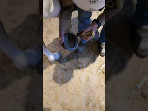Central Sulcus infection treatment.