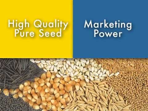 Certified Seed: Does Seed Really Matter?