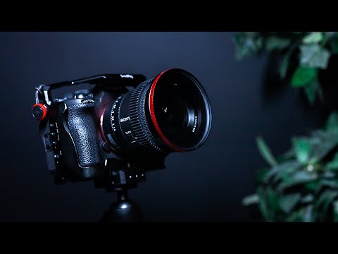 TOP Reasons to Pick a SONY CAMERA in 2022