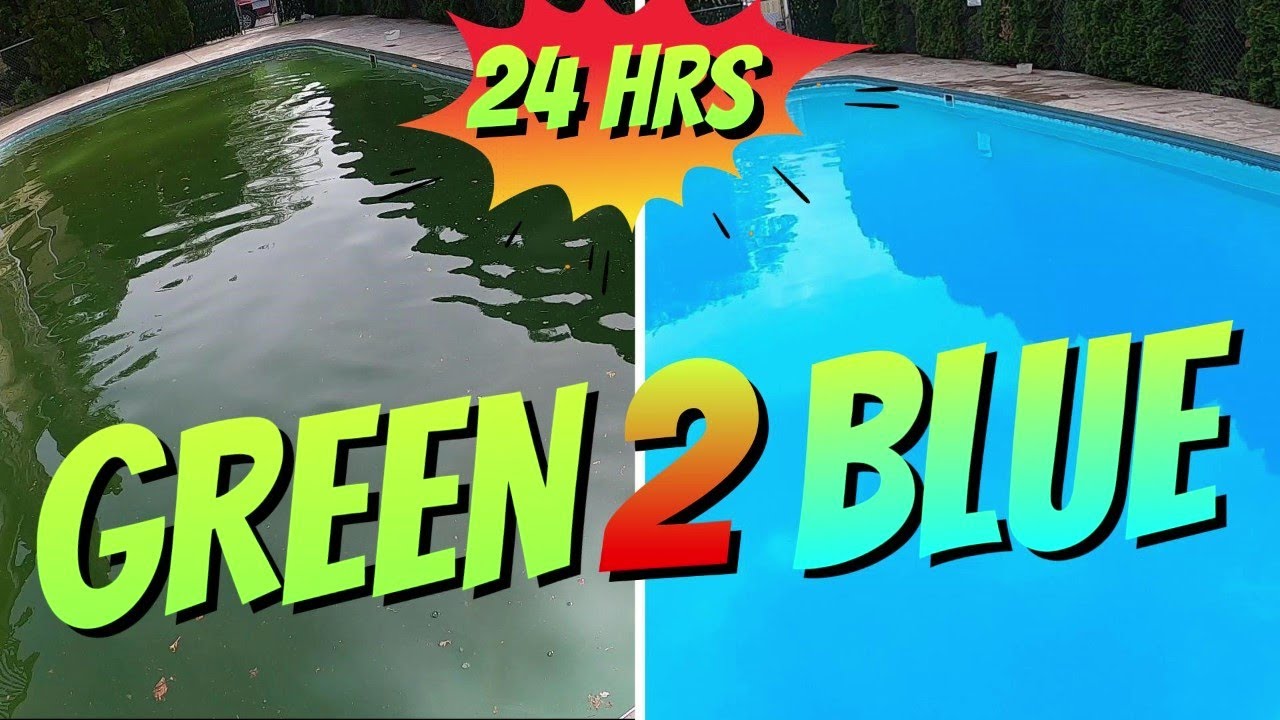 Green to Blue Pool in 24 hours: How to Clean a Green Pool: Pool Cleaning: Cleaning a Swimming Pool
