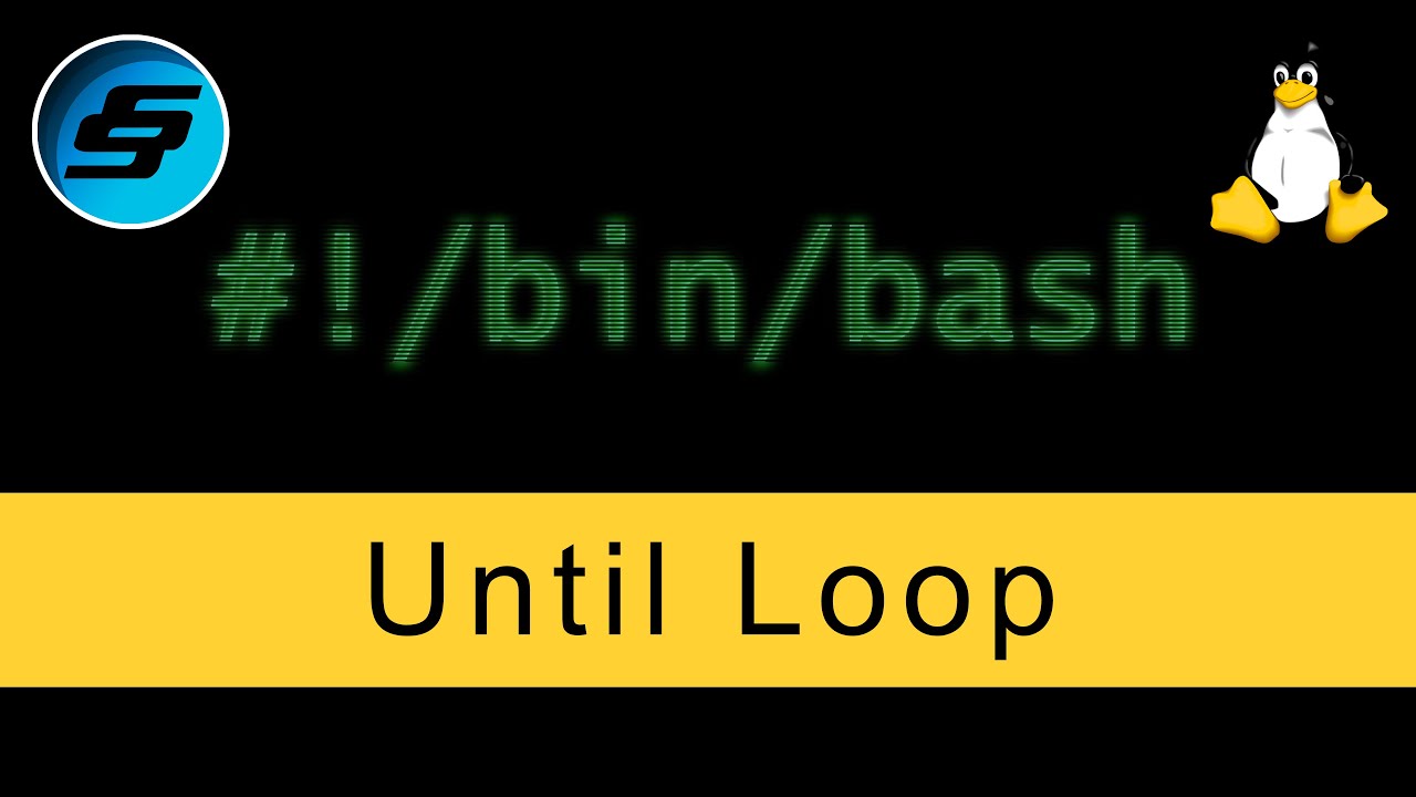 Until Loop - Bash Scripting