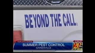 3 Best Pest Control Companies in Gainesville, FL - Expert Recommendations