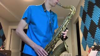 King Musical Instruments King Zephyr Tenor Saxophone - What To Know ...