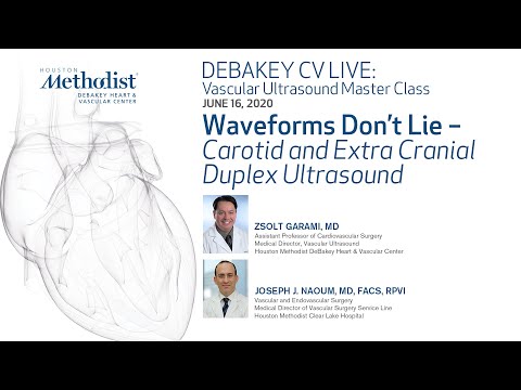 Waveforms Don’t Lie–Carotid & Extra Cranial Duplex Ultrasound (Garami, MD & Naoum, MD) June 16, 2020