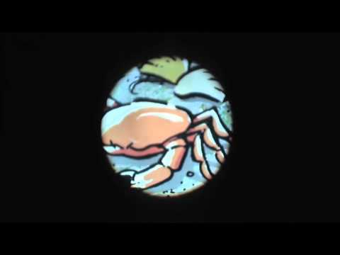 Effect Wheels - Seaside