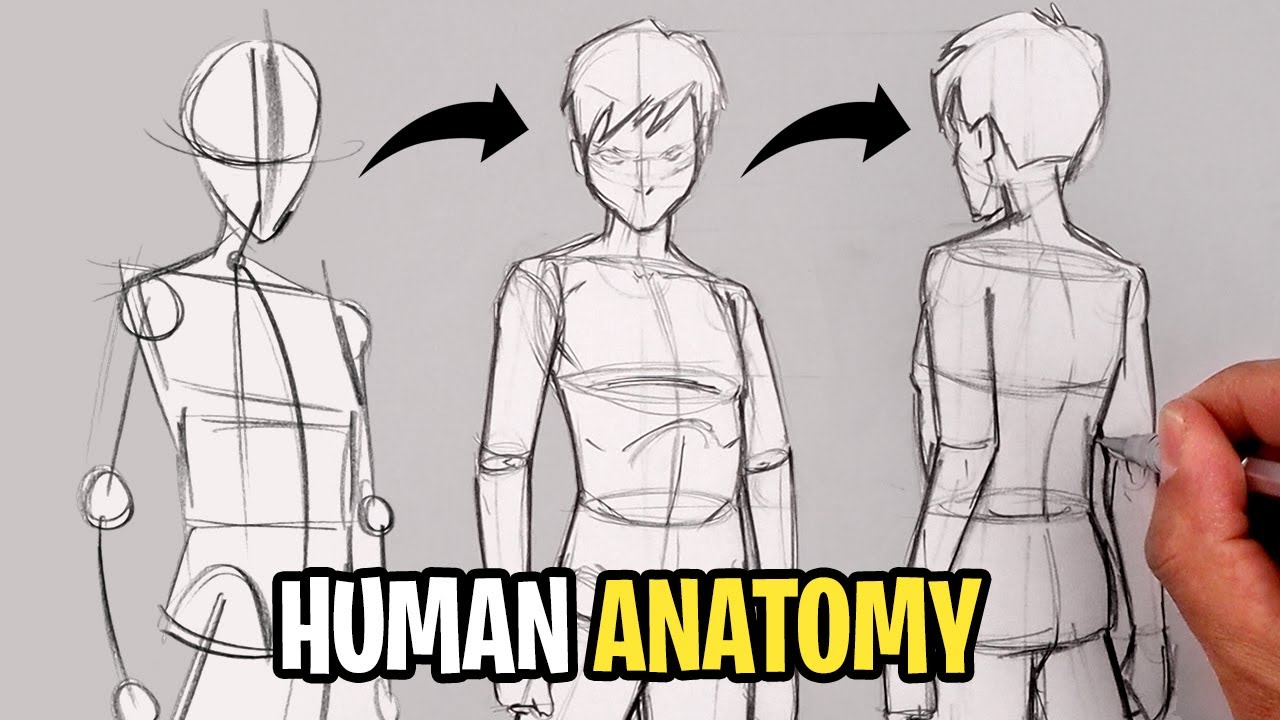 How To Draw HUMAN BODY | Beginner Pencil Sketch Tutorial (Step-by-Step)