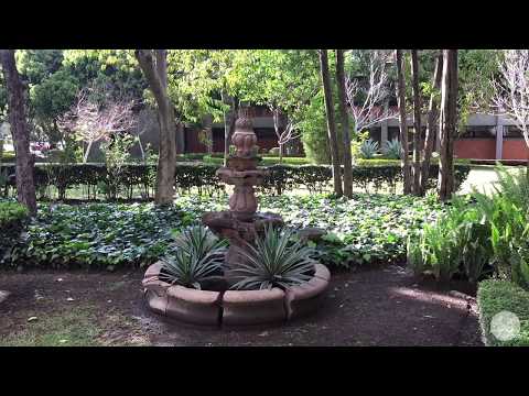 Studying abroad | UDLAP CAMPUS