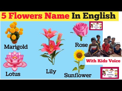 5 Flowers Name in English