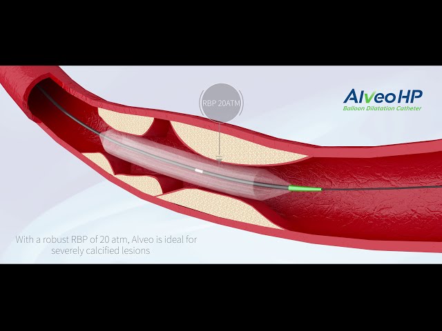 Guiding Catheter - Apollo Brosmed Dilatation Catheter Wholesale Trader ...