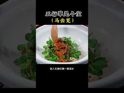 The Five-Element grass is a treasure. It is also known as purslane longevity vegetable etc