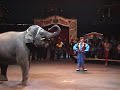 Nycchp Ringling 2001 Kidz Apple 130th Watch HD Mp4 Video Download Free