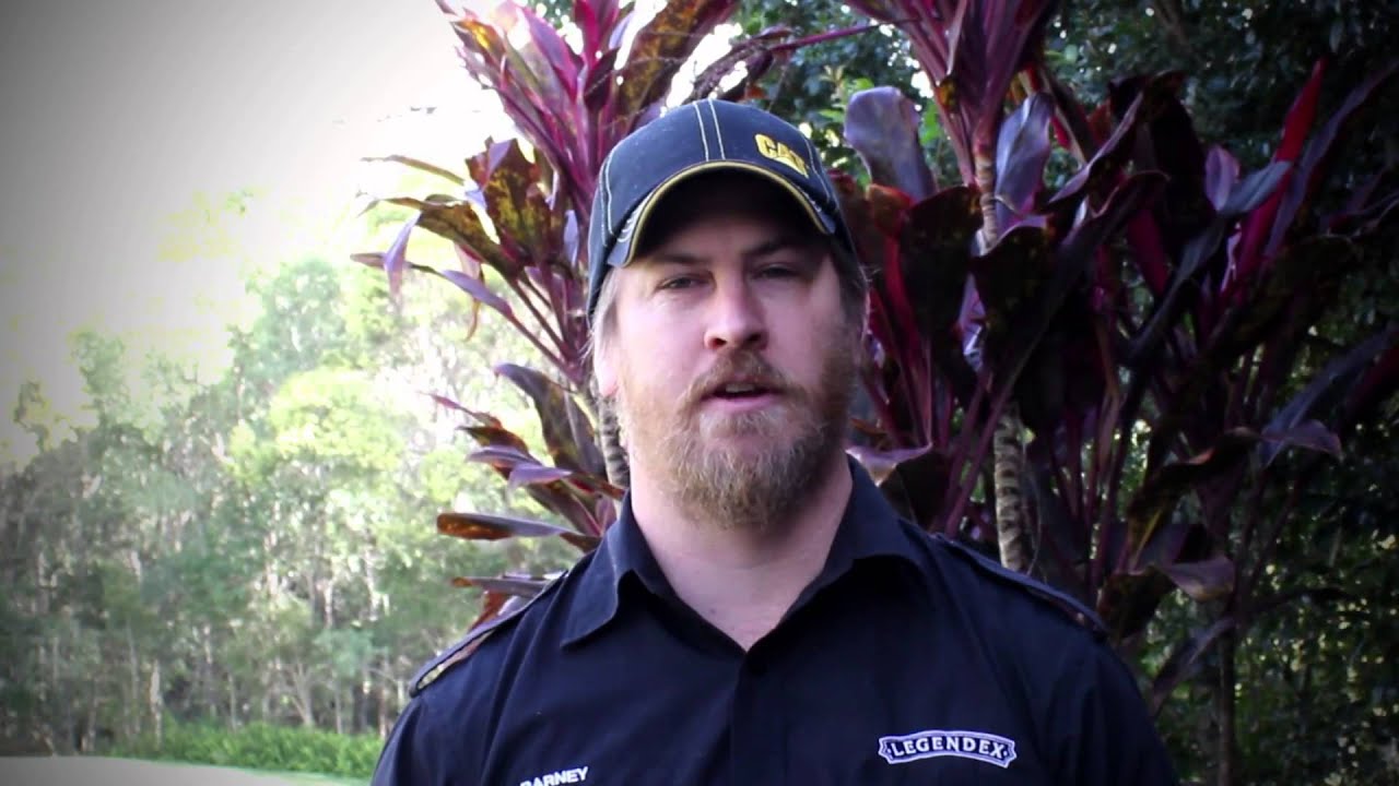 Steve Wanmer - Client Testimonials