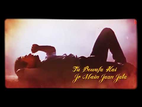 Tu Bewafa Hai Jo Main Jaan Jata WhatsApp status