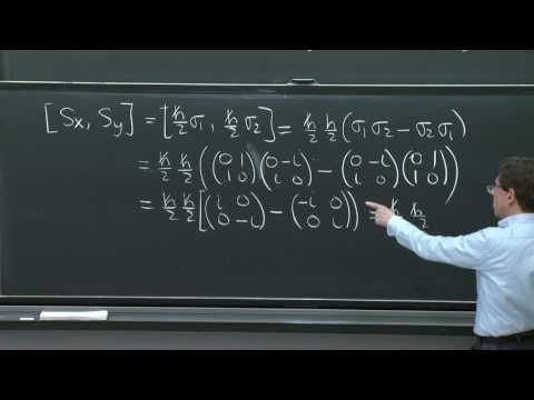 Hamiltonian and emerging spin angular momentum