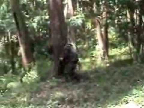 Operation Overrun | FRAG International