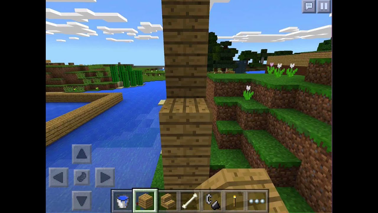 Eagle Minecraft 1