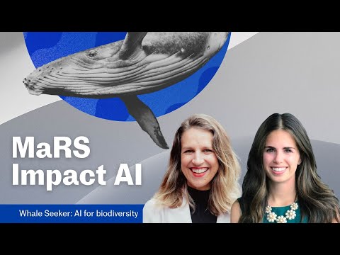 MaRS Impact AI 2024 - Whale Seeker: AI for Biodiversity