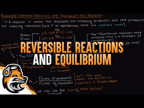 Reversible Reaction Introduction