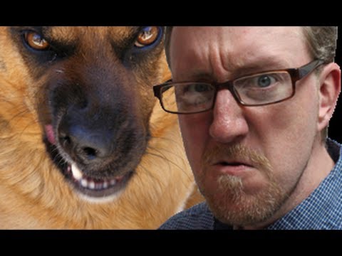 Care: About the Canine Distemper Vaccine (DHPP or DHLPP)