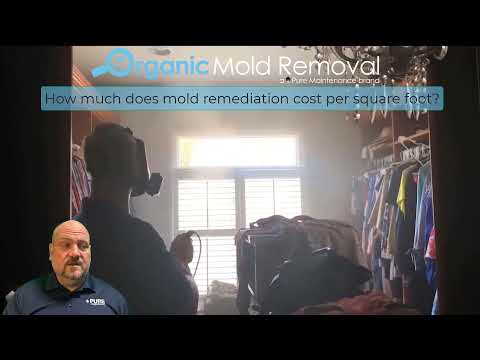 Organic Mold Removal | How much does mold remediation cost per square foot?