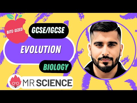 The Theory Of Evolution | Natural selection | Bite-sized | GCSE | IGCSE Biology | Mr Science in 8K