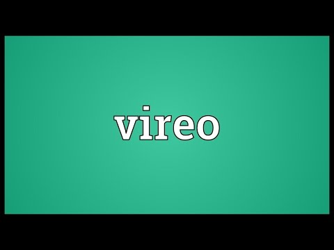 Vireo Meaning