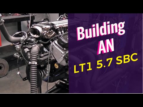 How to BUILD a (gen 2) 5.7 LT1 sbc! | Horsepower recipe’s | More power and Reliability!