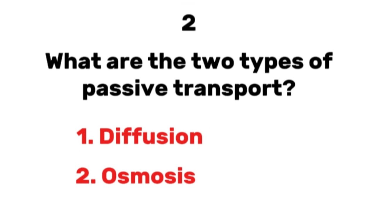 These 15 Questions and Answers will Teach you about Diffusion and Osmosis