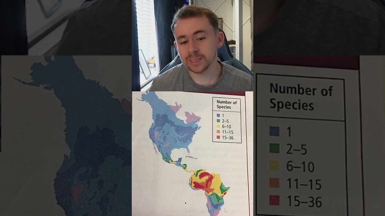 The Most Confusing Map You Will Ever See