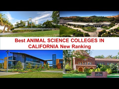 Best ANIMAL SCIENCE COLLEGES IN CALIFORNIA New Ranking