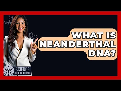 What Is Neanderthal DNA? - Science Through Time